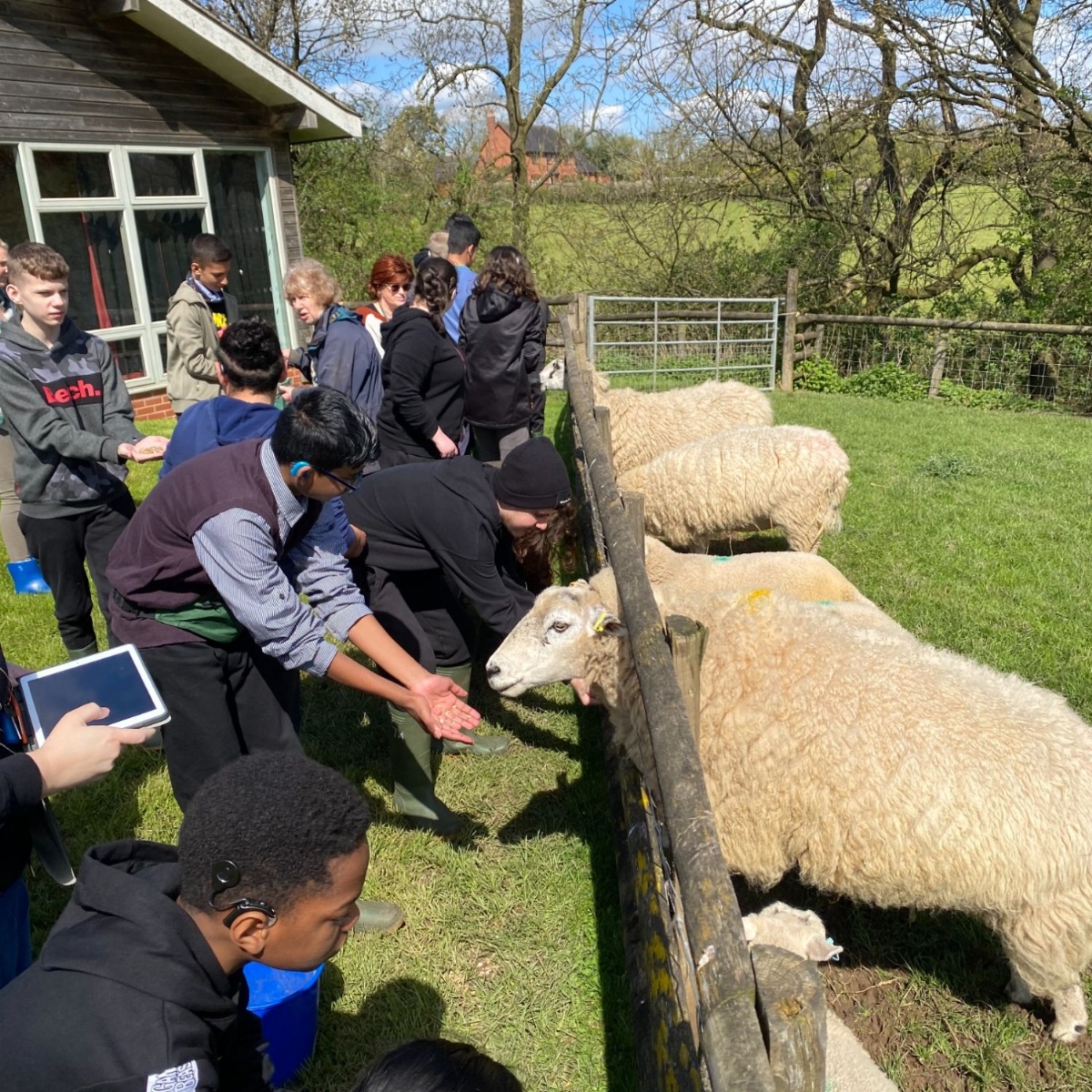 Braidwood Trust School - Farm Visit